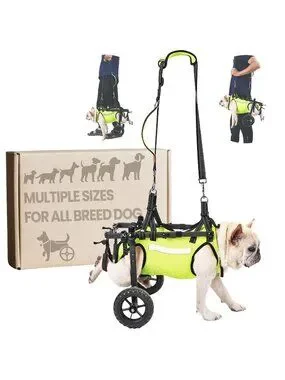 Dog | M Acesolid Adj Dog Wheelchair Back Legs For All Breed Dog | Poshmark